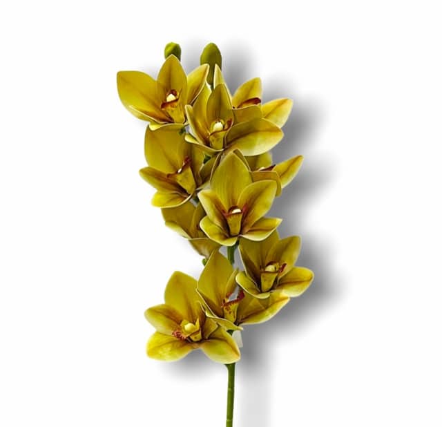 Flor Larga 72cm I.903 – Casa Dorita