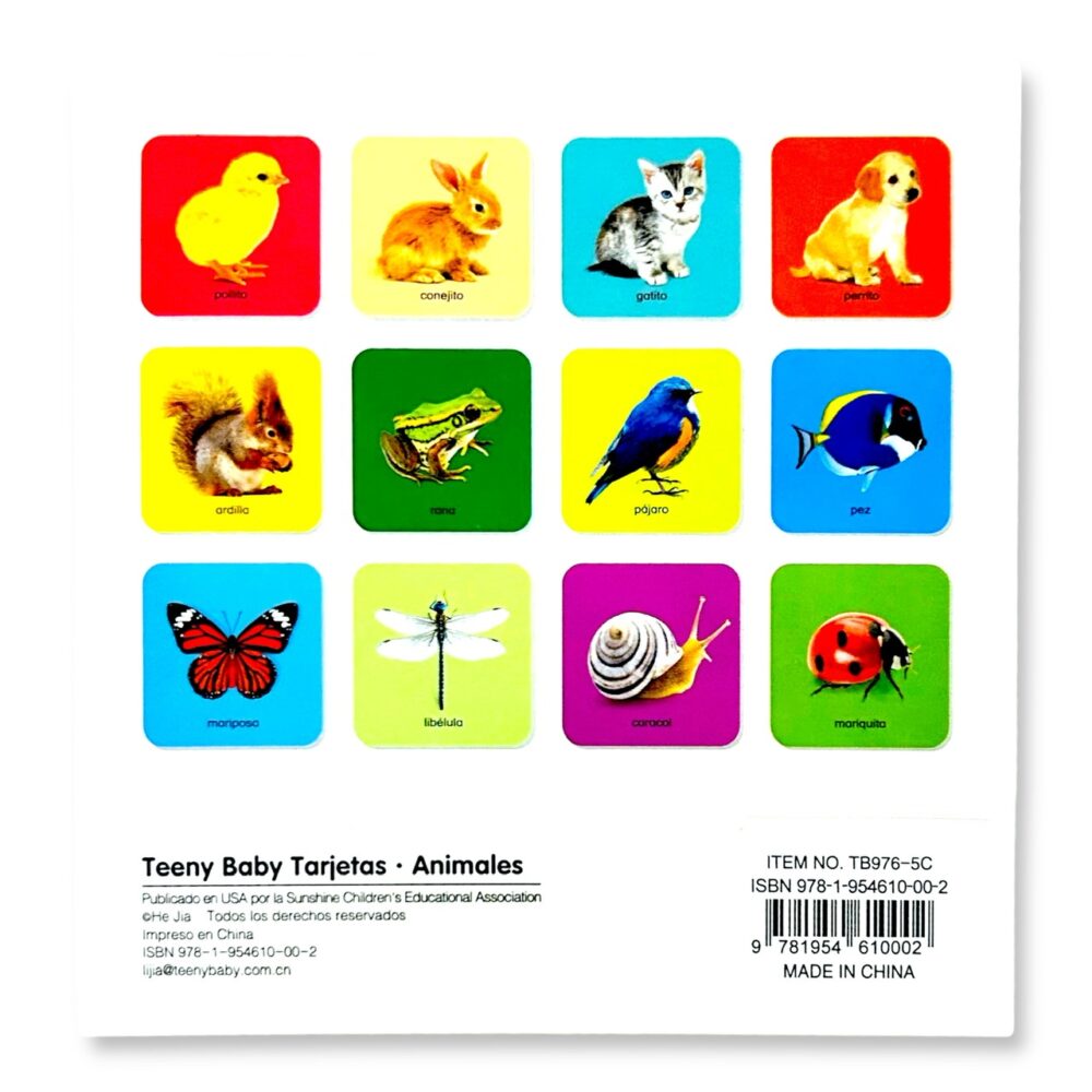 Tarjetas ilustradas animales I. 976-5C – Casa Dorita