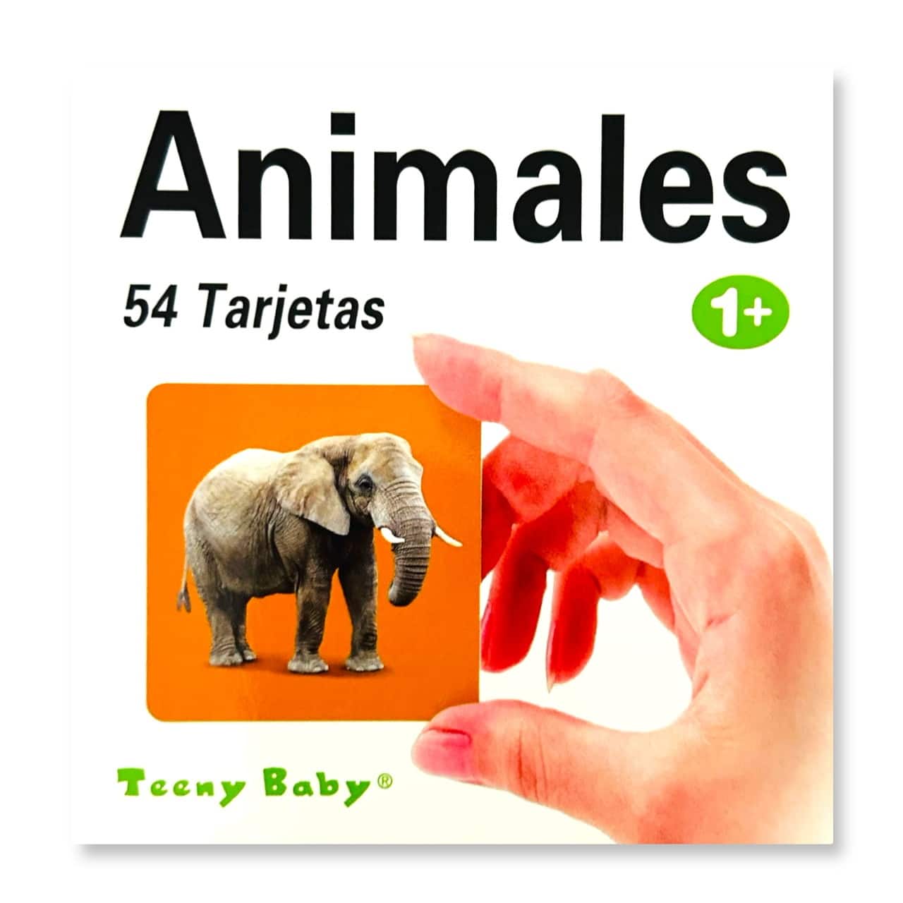 Tarjetas ilustradas Animales – Casa Dorita