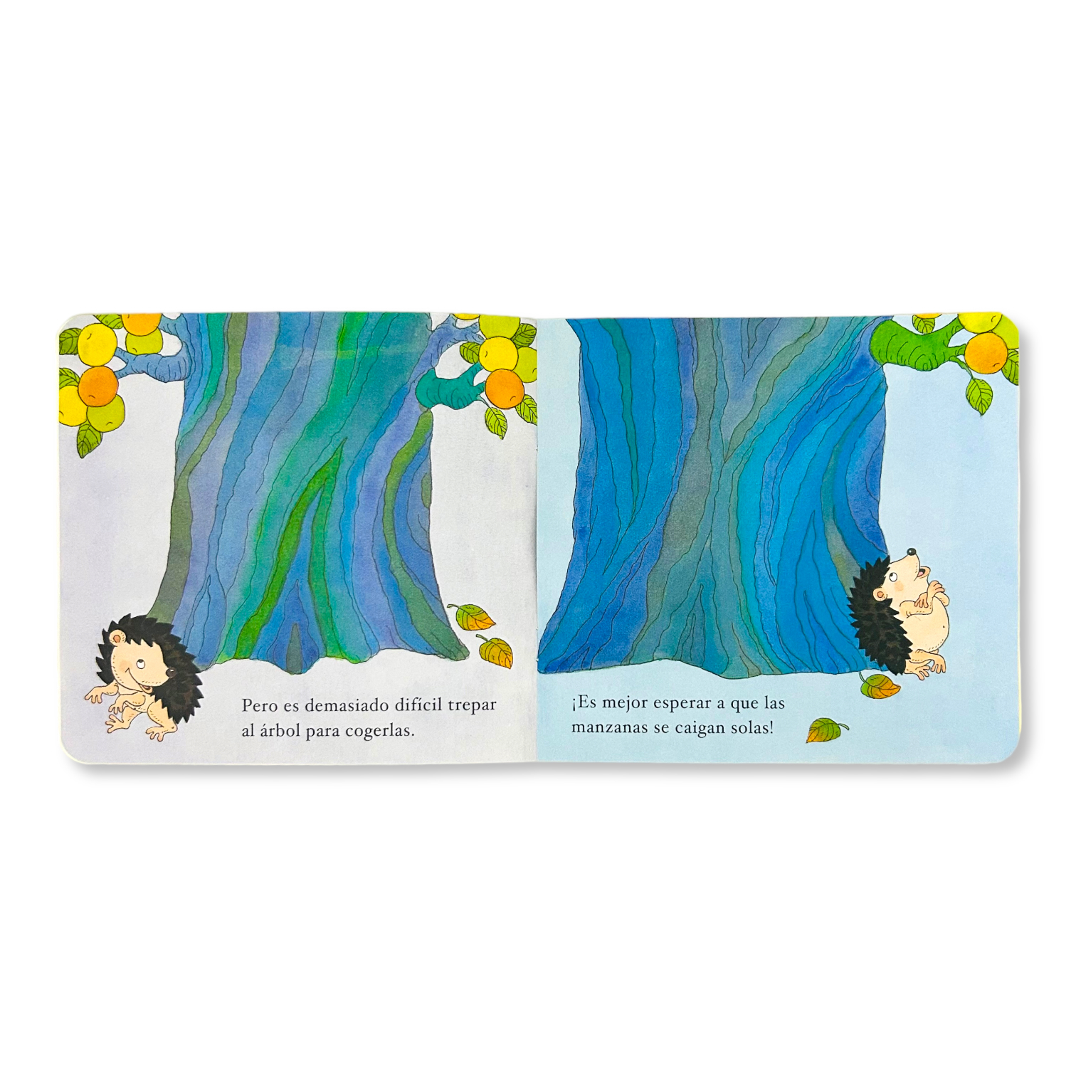 Libro de cuentos Cogiendo manzanas – Casa Dorita