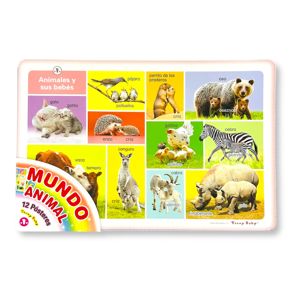 Láminas temáticas educativas Animales x 12 – Casa Dorita