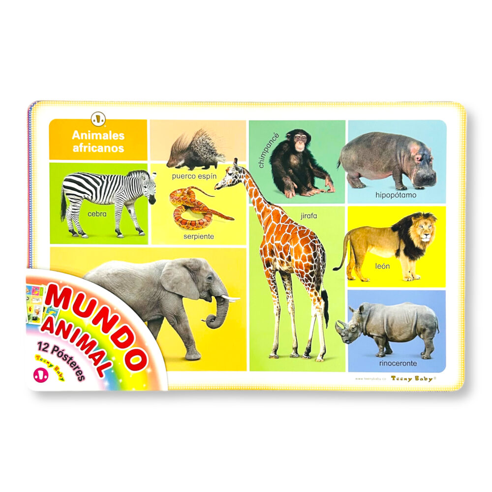 Láminas temáticas educativas Animales x 12 – Casa Dorita