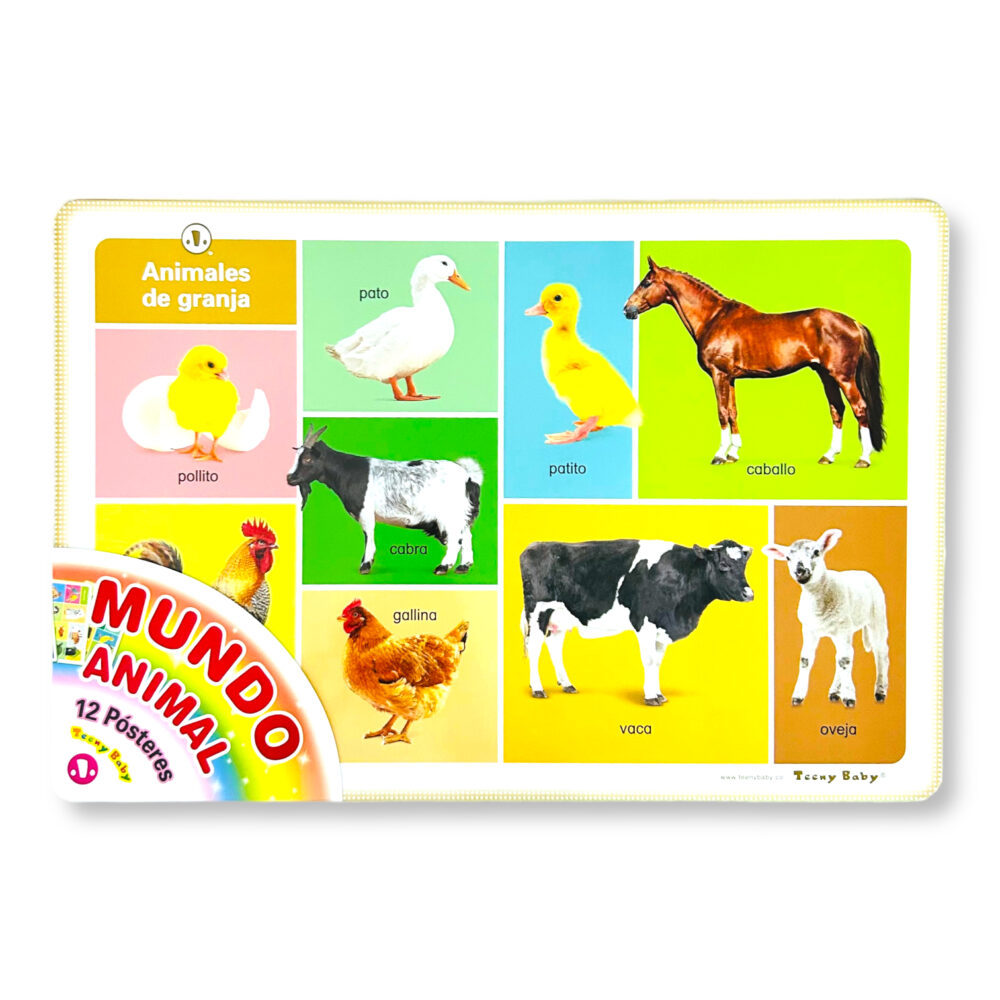 Láminas temáticas educativas Animales x 12 – Casa Dorita