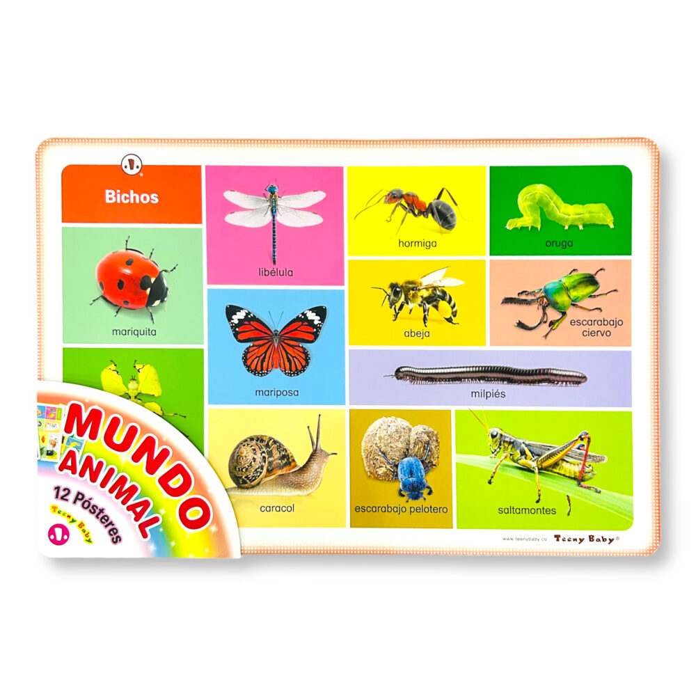 Láminas temáticas educativas Animales x 12 – Casa Dorita