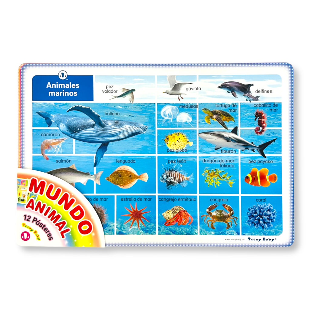 Láminas temáticas educativas Animales x 12 – Casa Dorita